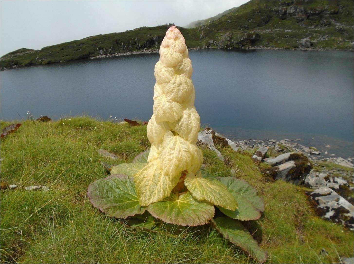 आहा ! क्या राम्रो तिम्बु पोखरी ...(फोटो फिचर) - State Nepal News