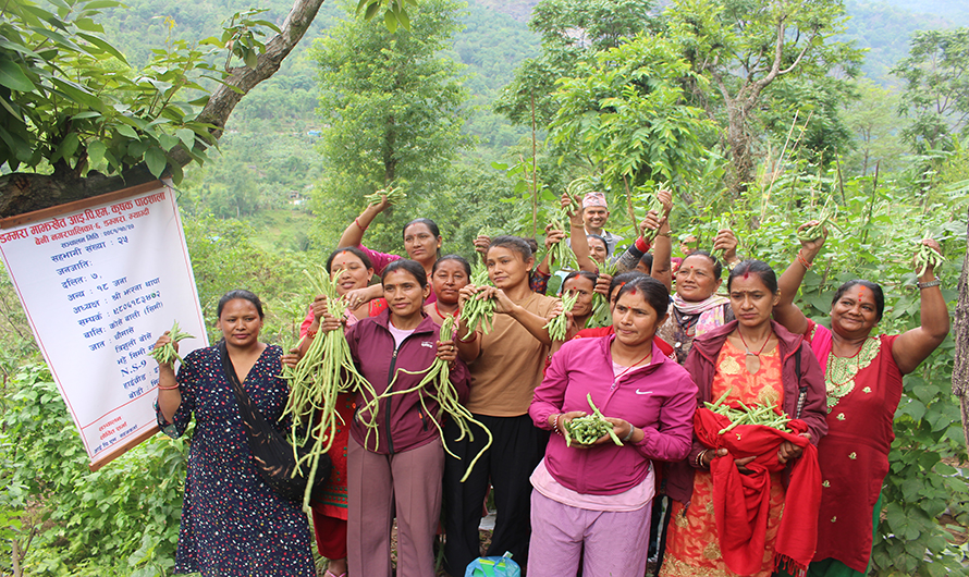 कृषिमा रैथाने सीप र प्रविधि बढाउन ‘आइपिएम’ कृषक पाठशाला’ - State Nepal News
